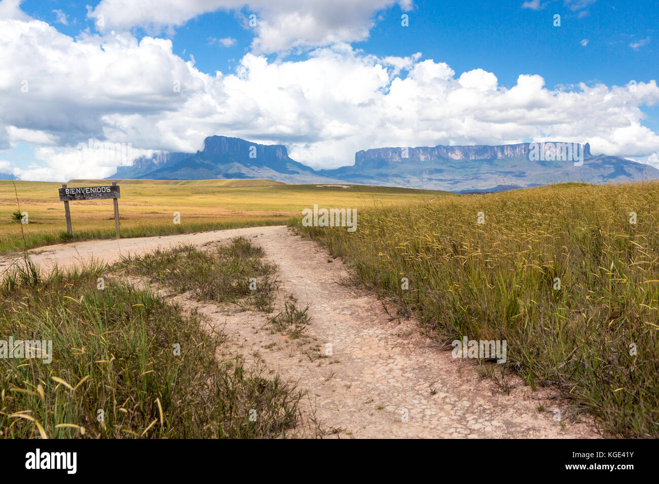 Trekking Mount Roraima Venezuela South America Stock Photo - Alamy