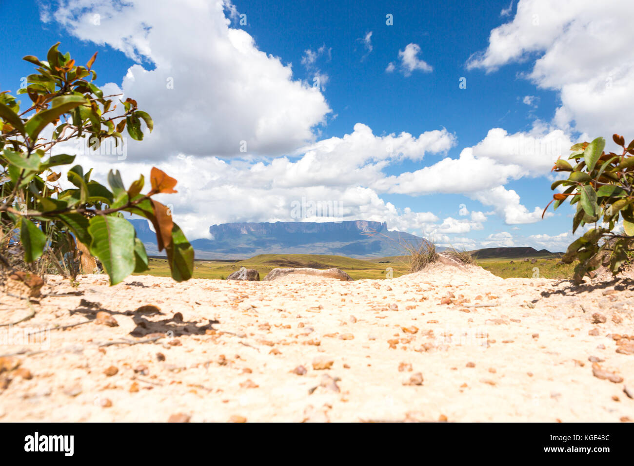 Mount roraima brasil hi-res stock photography and images - Alamy