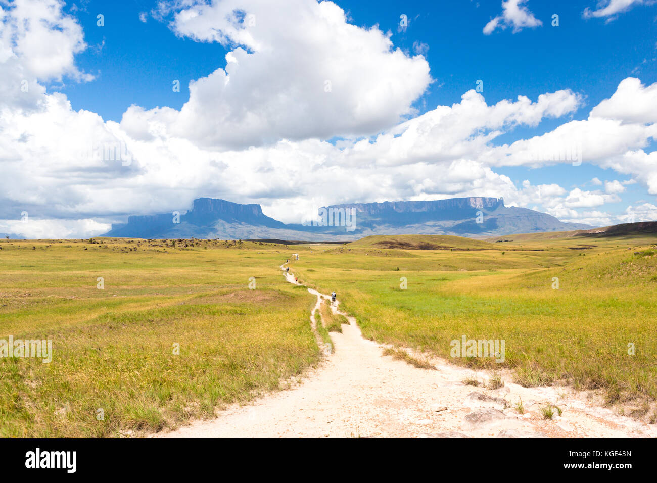 Mount roraima brasil hi-res stock photography and images - Alamy