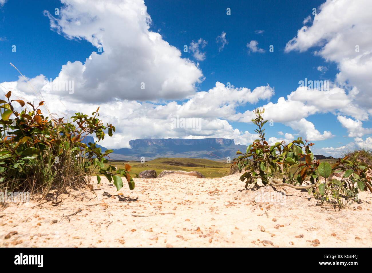Mount roraima brasil hi-res stock photography and images - Alamy