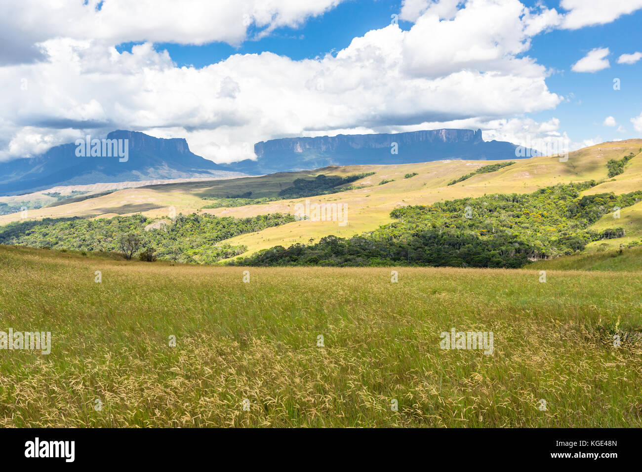 Trekking Mount Roraima Venezuela South America Stock Photo - Alamy
