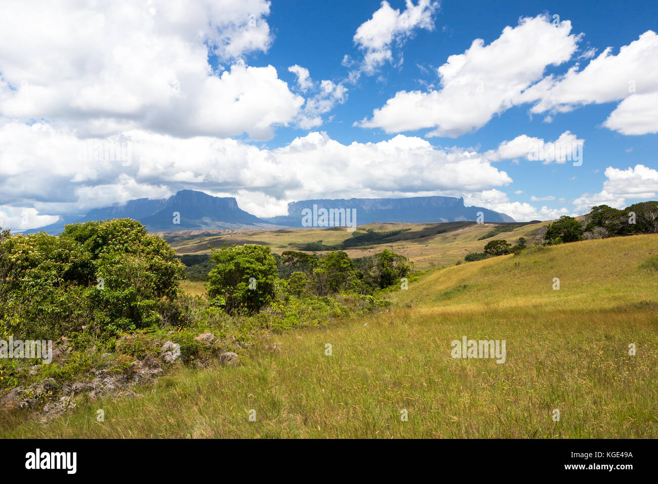 Trekking Mount Roraima Venezuela South America Stock Photo - Alamy