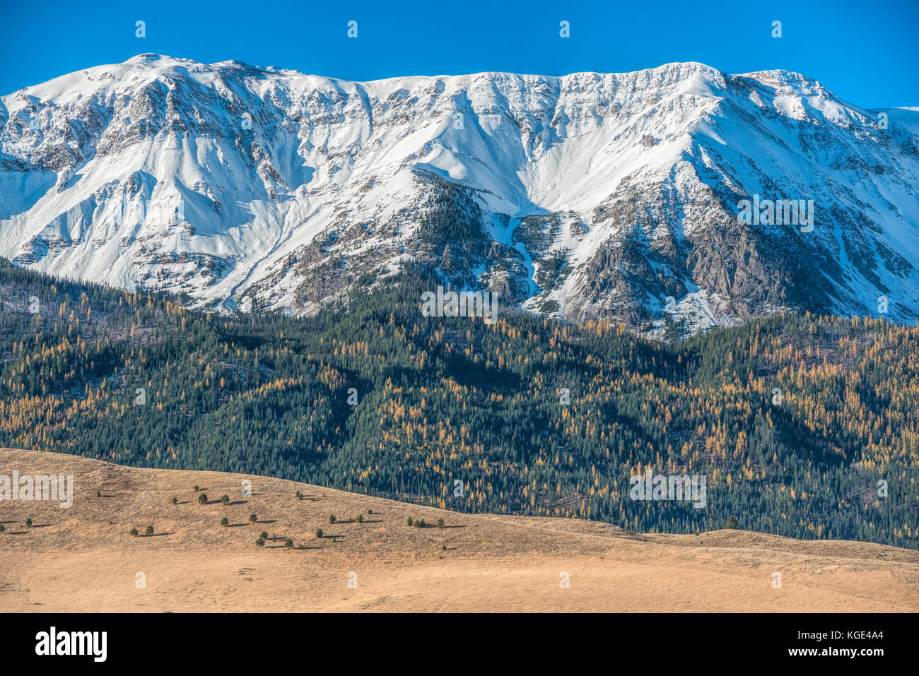 The Wallowa Mountains towering over the Wallowa Lake moraine on an ...