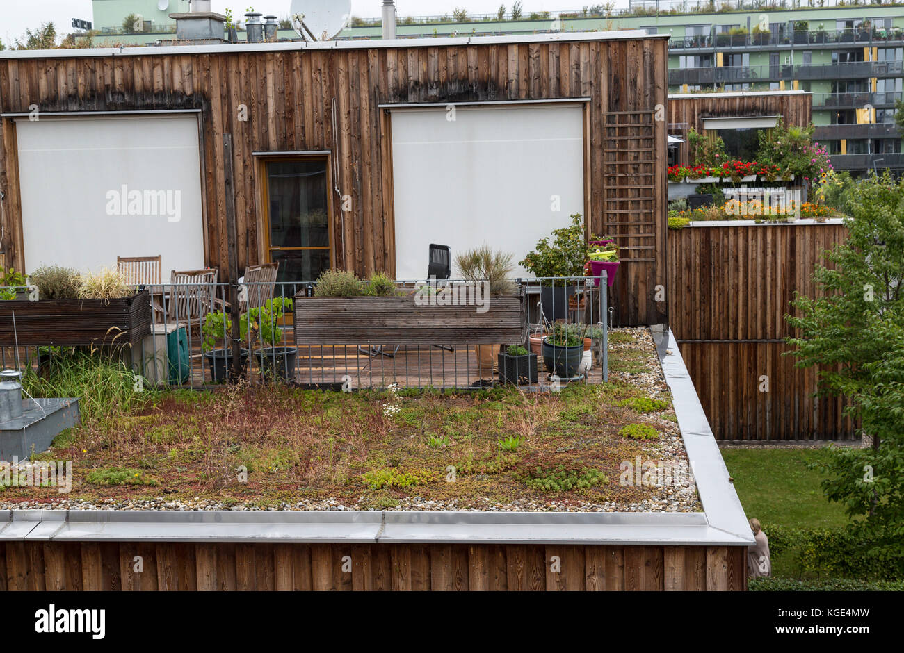 Rooftop urban garden on an urban apartment building Stock Photo - Alamy