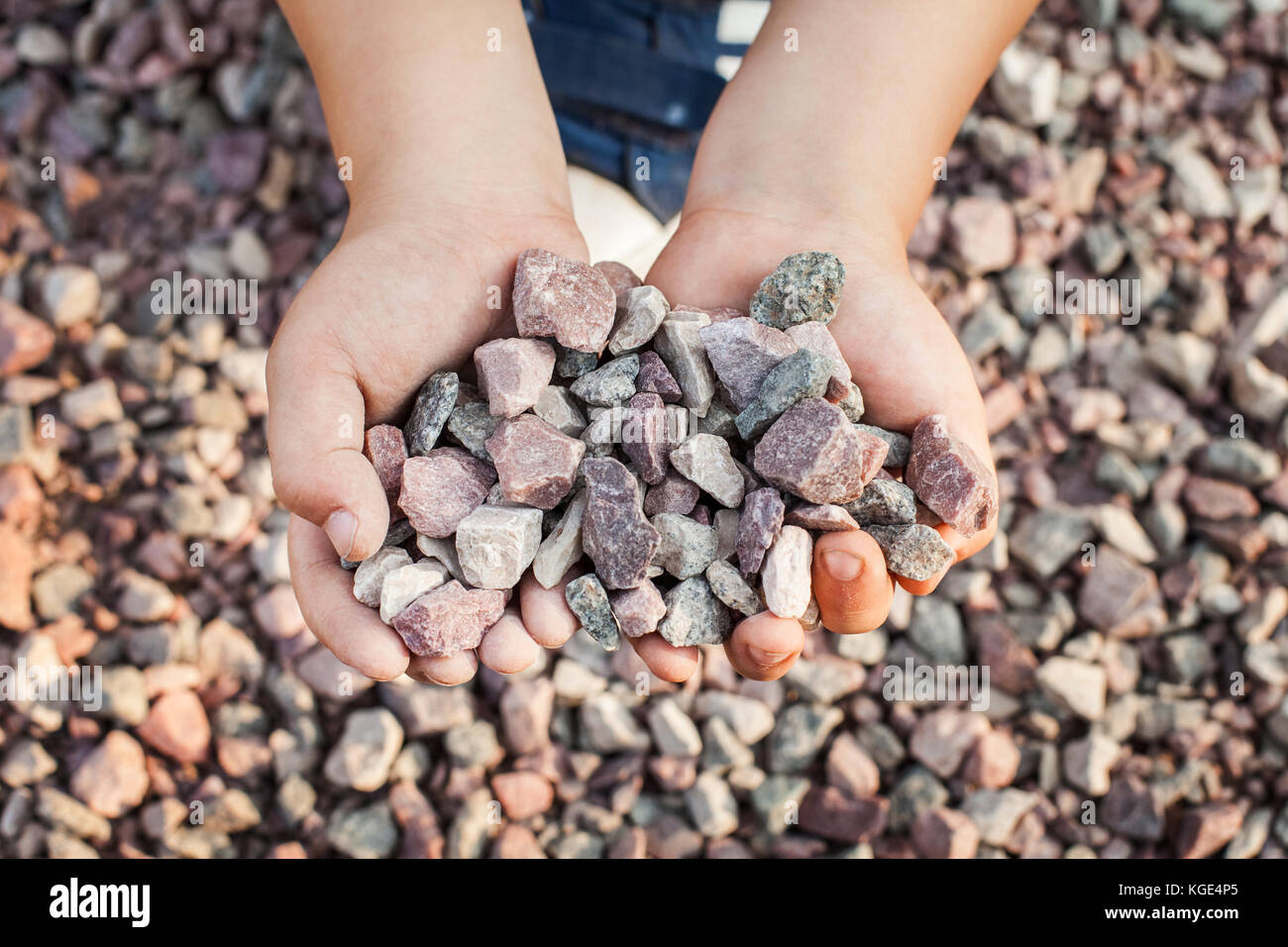 Child holding stones in hands Stock Photo - Alamy
