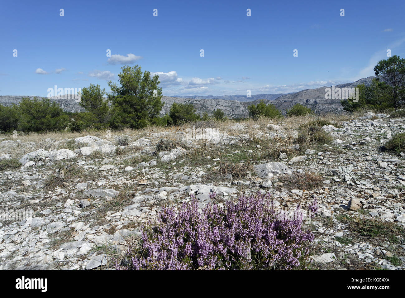 amazing wide landscape on a mountain in dubrovnik Stock Photo - Alamy