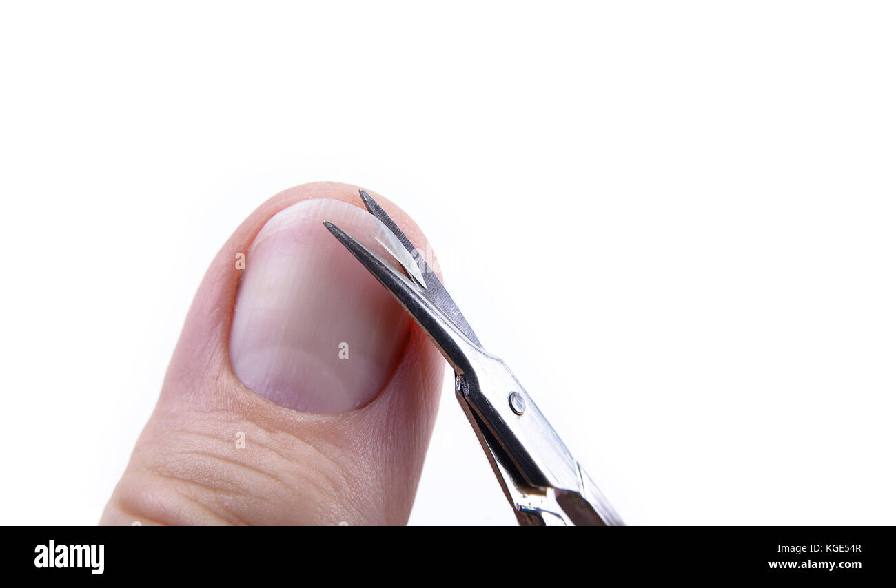 Scisors hi-res stock photography and images - Alamy