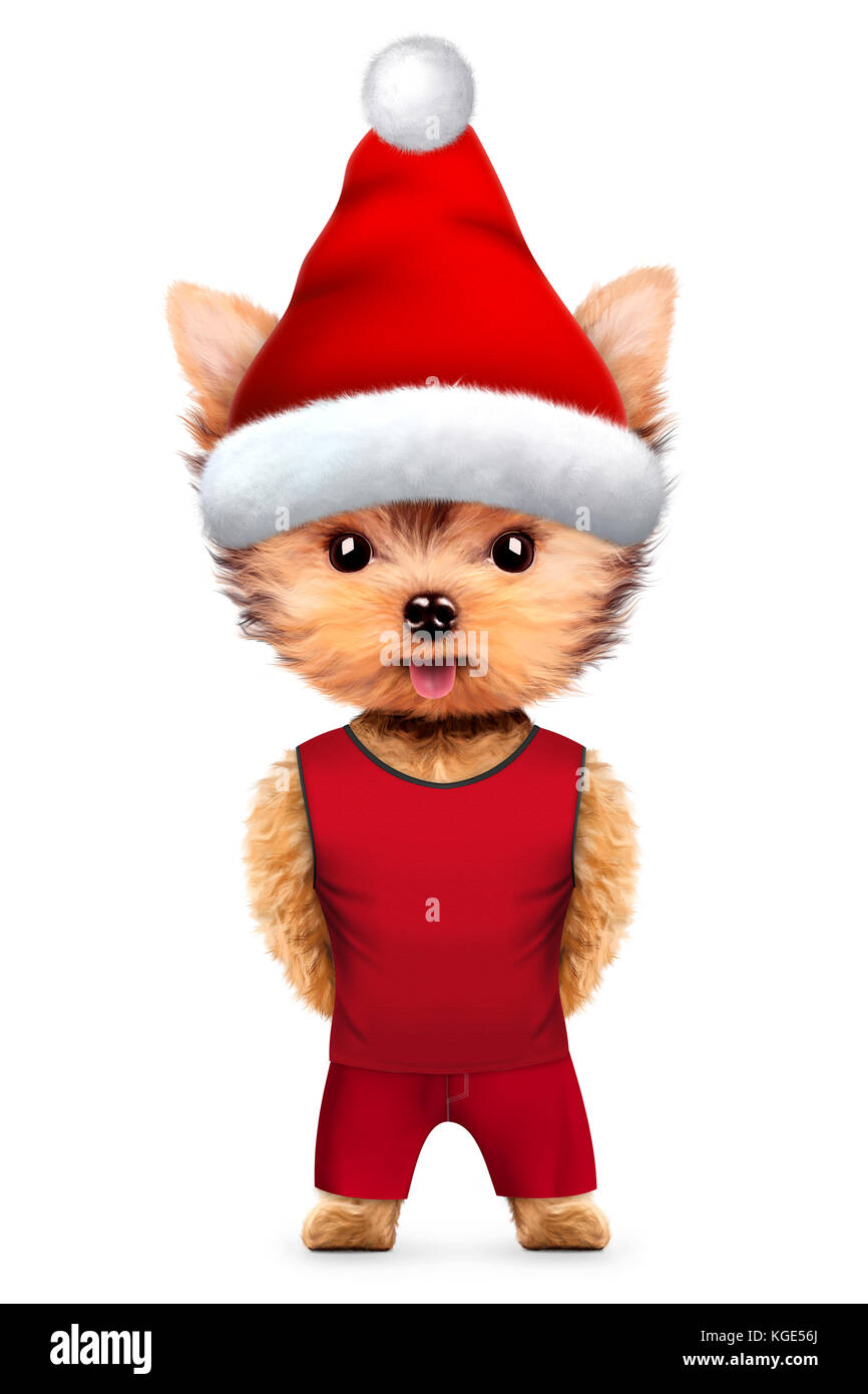 Dog wearing happy new Cut Out Stock Images & Pictures - Alamy