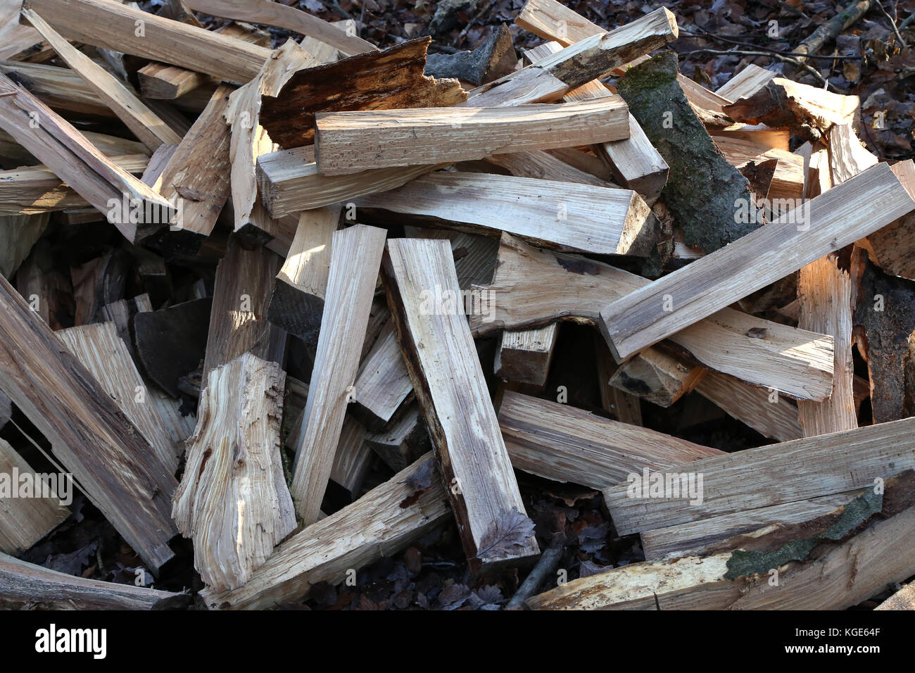 Stack of wood / Felled trees stacked in the woodpile in the forest ...