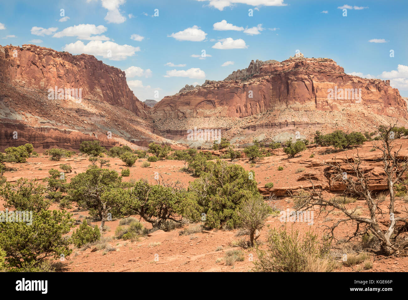 Utah National Parks. Canyons, trails,natural bridges, rock formations ...