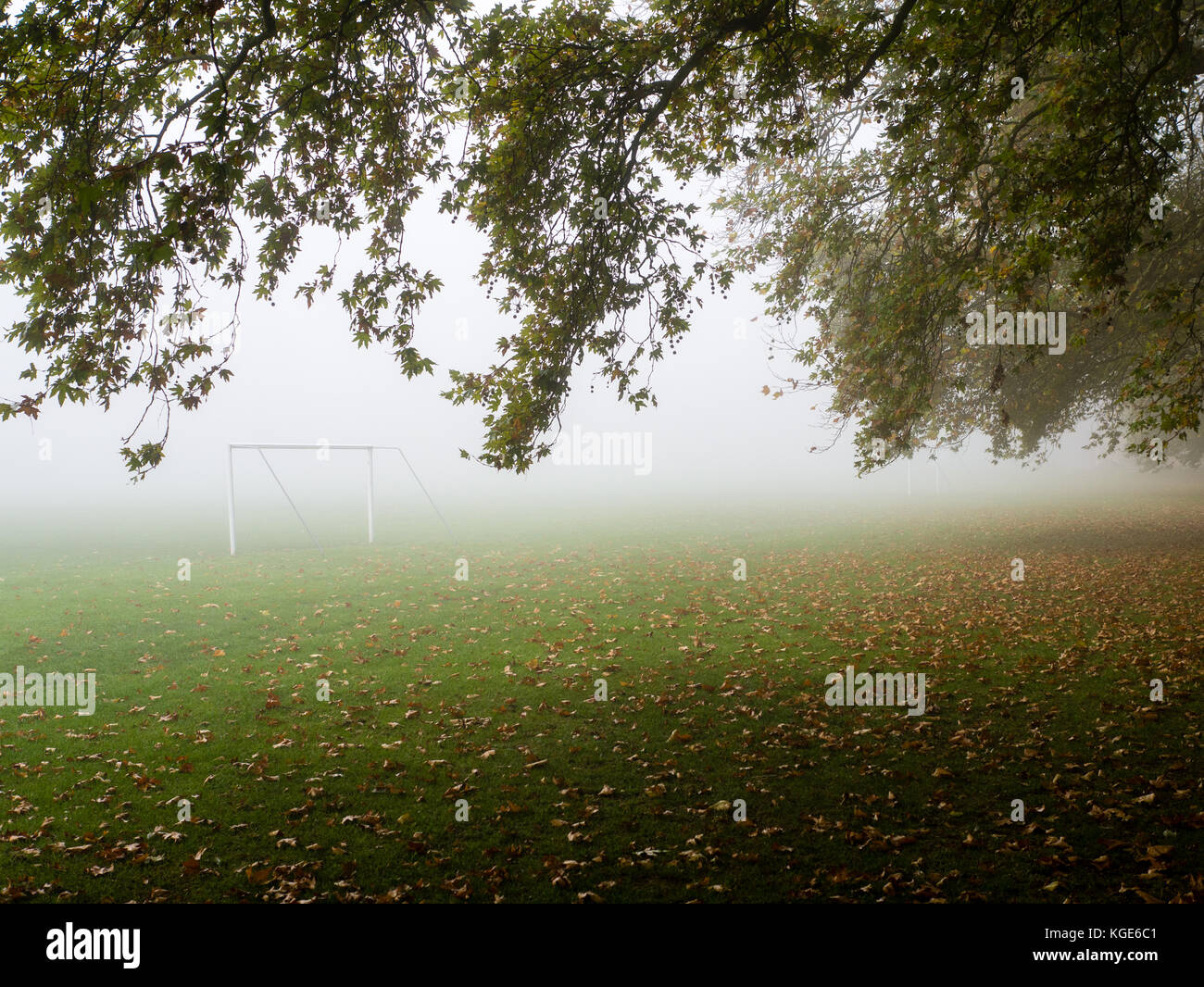 Misty Day, Kings Meadow, Reading, Berkshire, England, UK, GB Stock ...