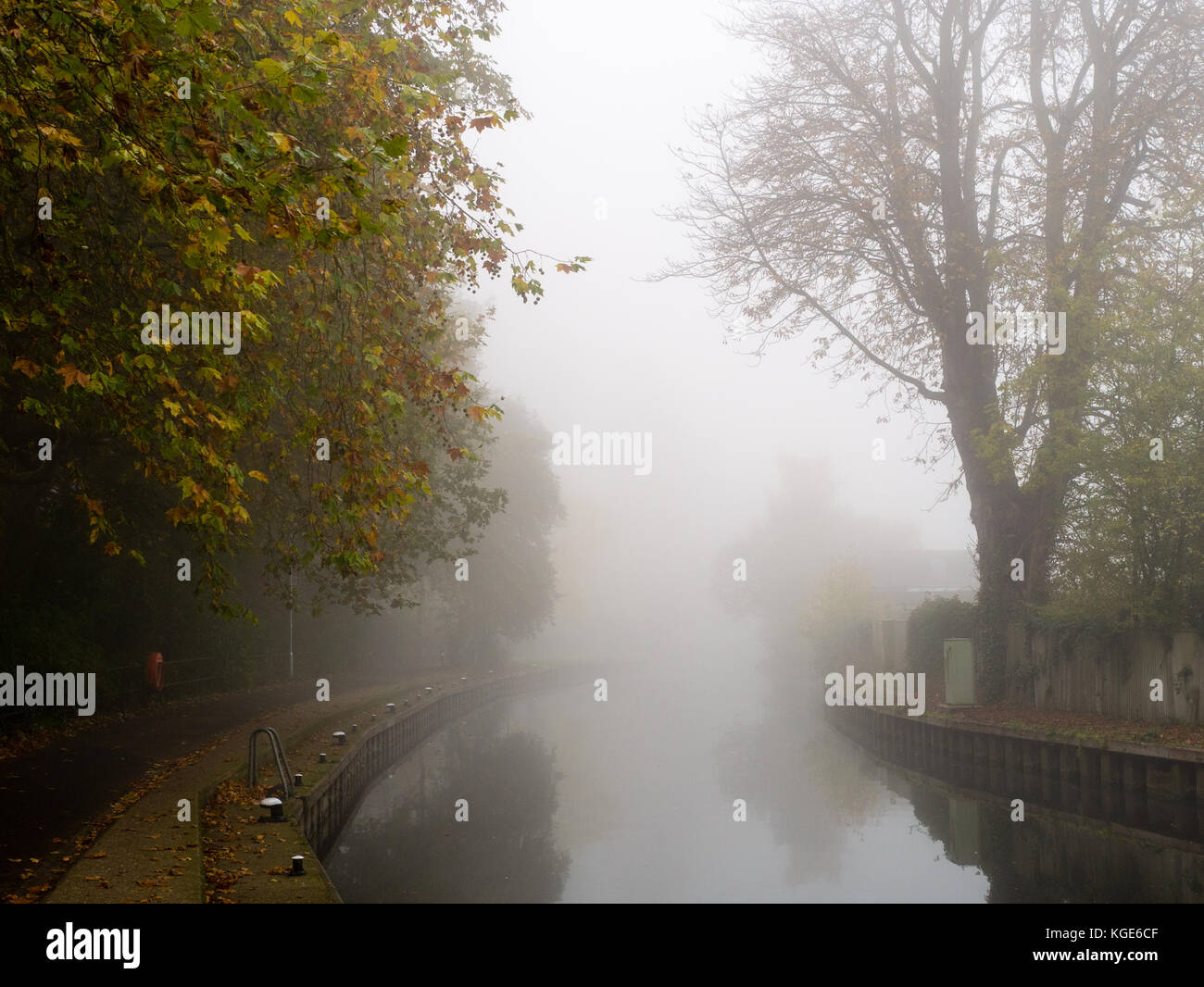 River Thames nr Caversham Lock, Reading, Berkshire, England, UK, GB ...