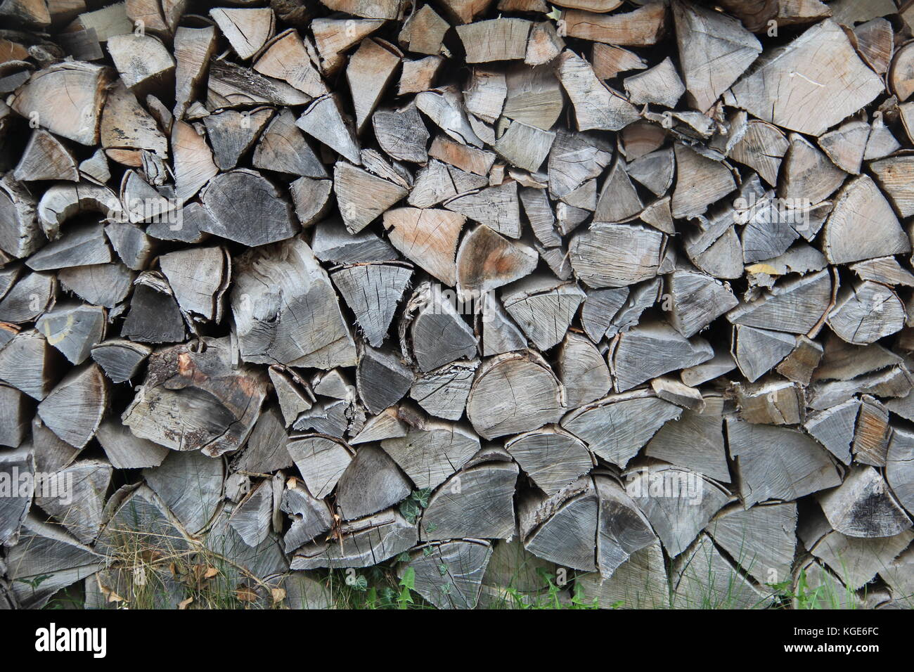 Stack of wood / Felled trees stacked in the woodpile in the forest ...