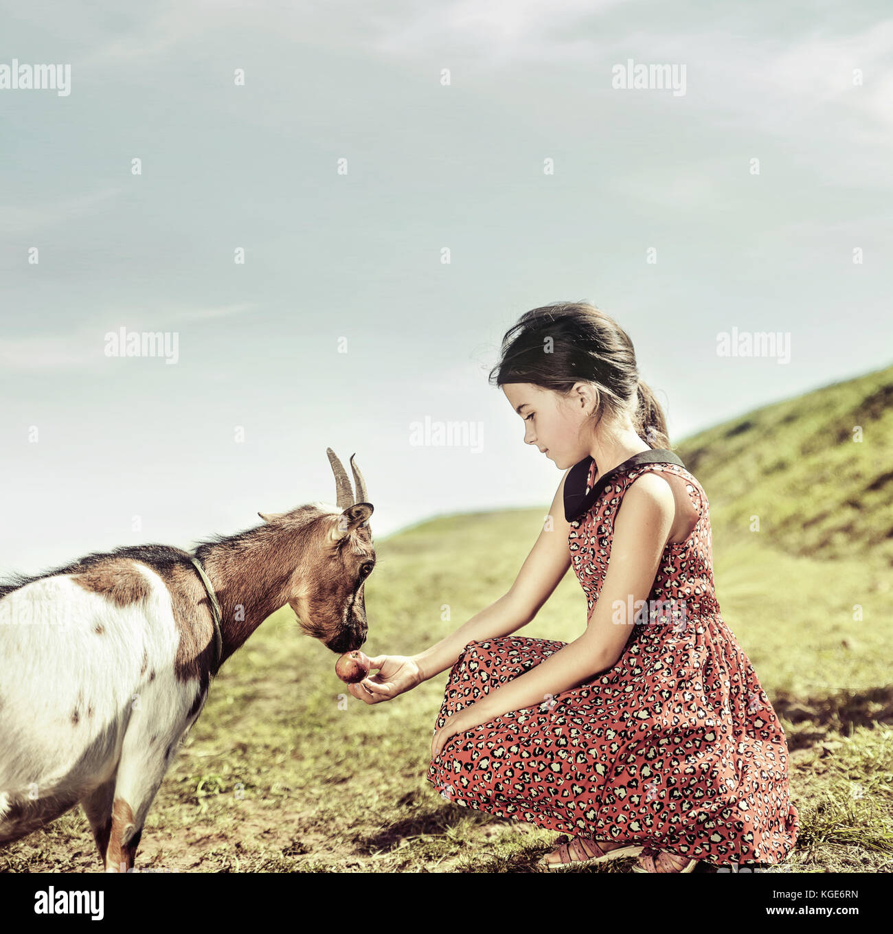 Calm and cheerful girl feeding a goat Stock Photo - Alamy