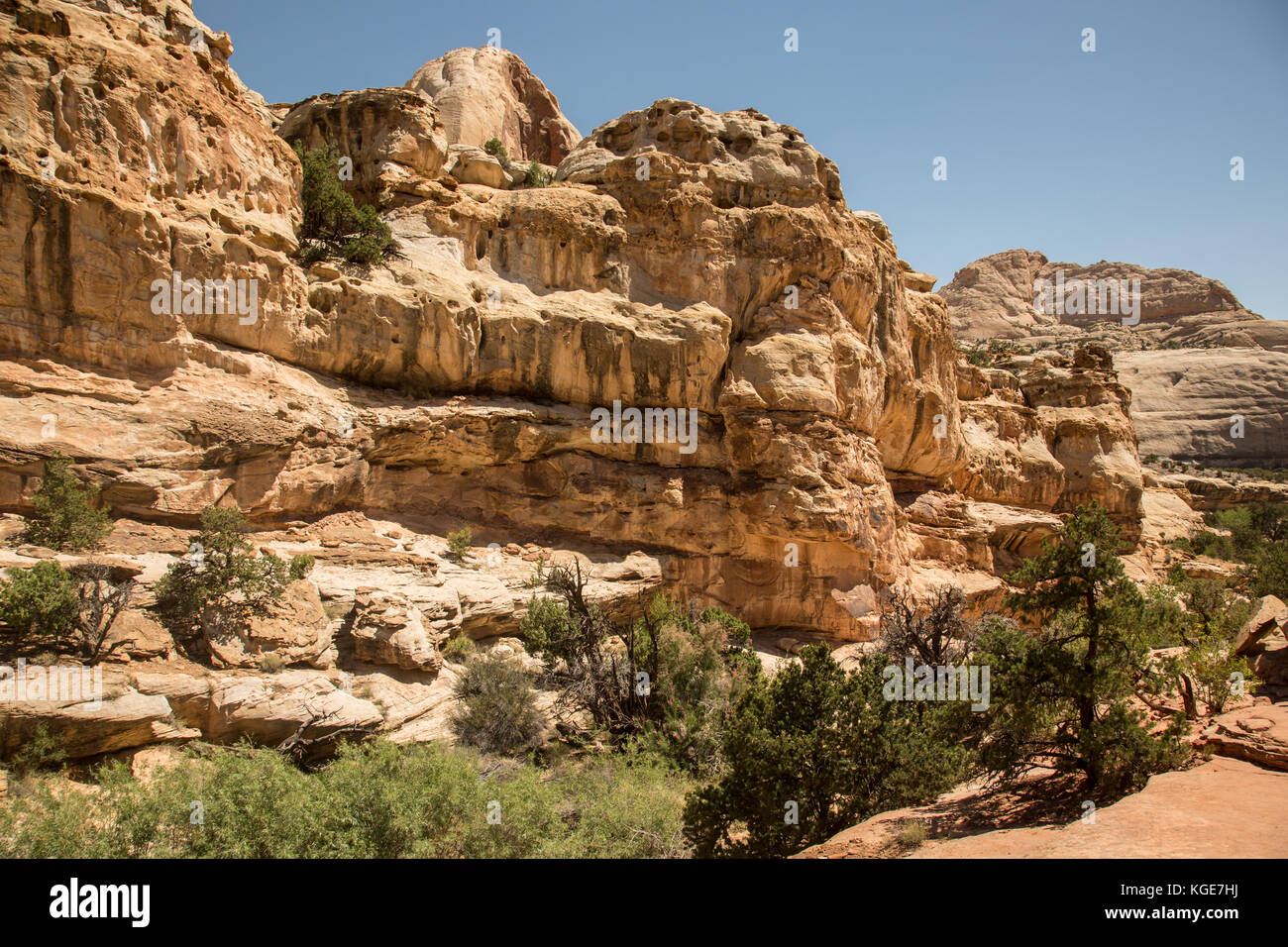 Capitol Reef, Utah National Parks. Canyons, trails,natural bridges ...