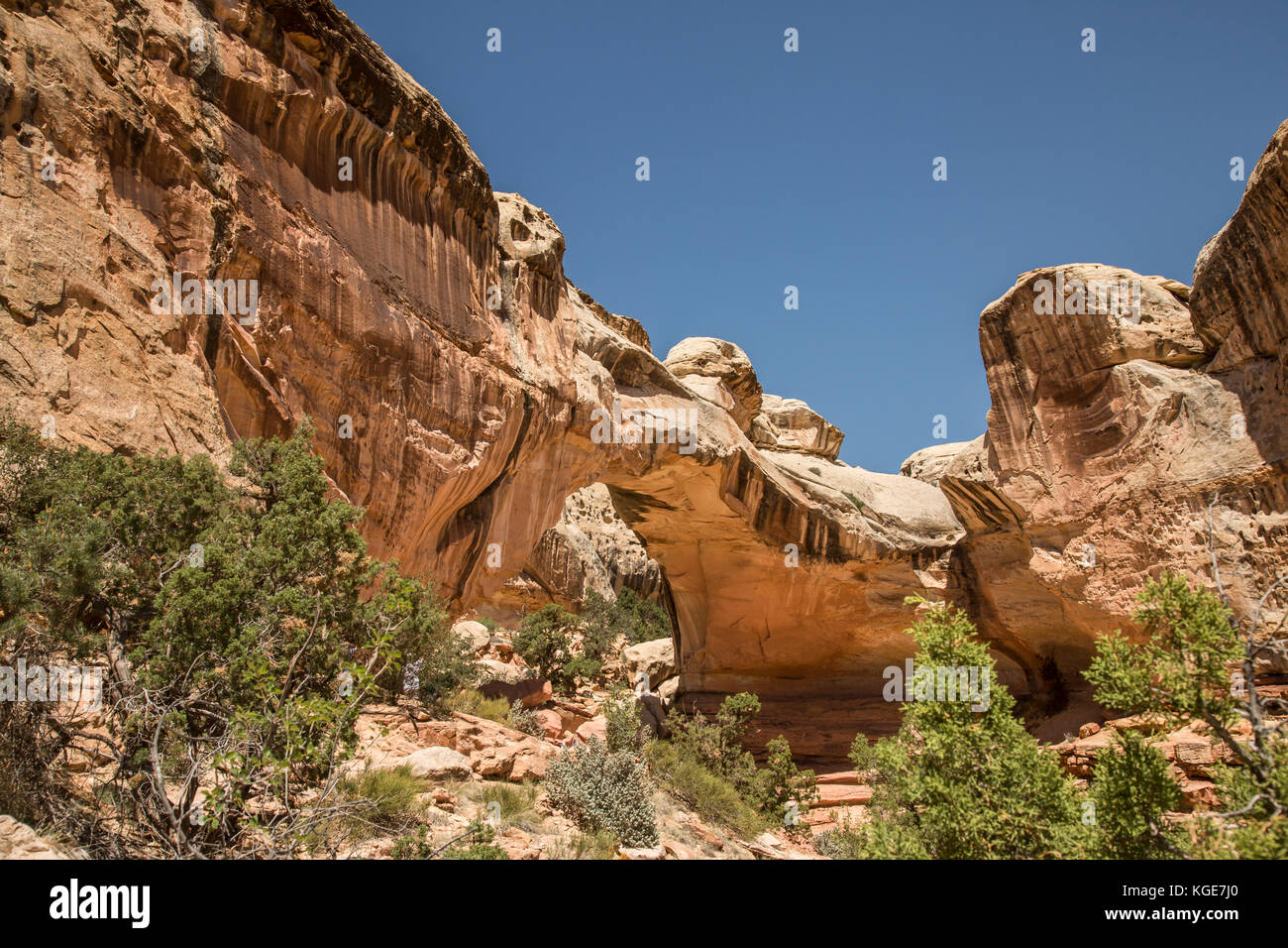 Capitol Reef, Utah National Parks. Canyons, trails,natural bridges ...