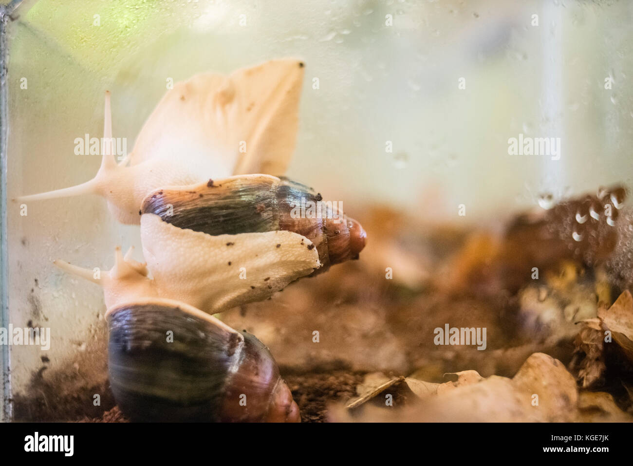 Ukraine exhibition hi-res stock photography and images - Alamy