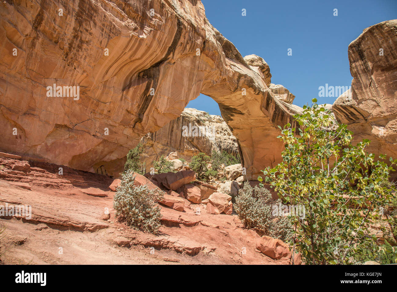 Capitol Reef, Utah National Parks. Canyons, trails,natural bridges ...