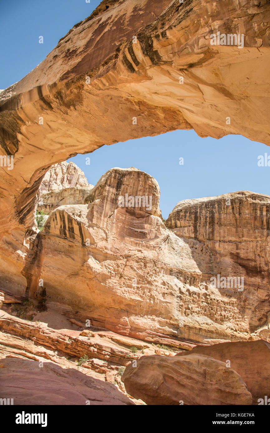 Capitol Reef, Utah National Parks. Canyons, trails,natural bridges ...