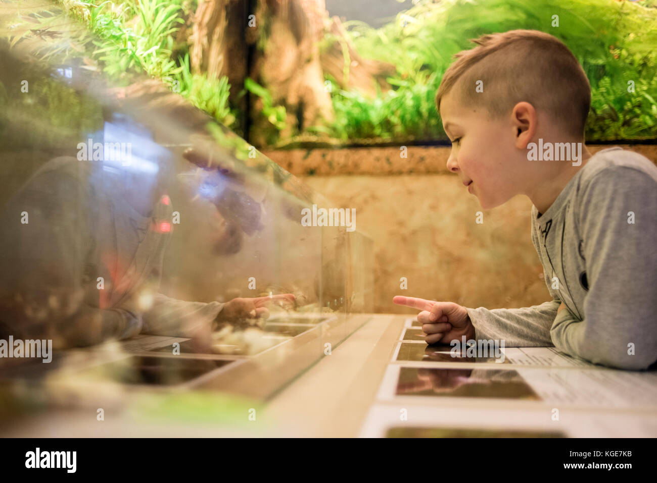 Young visitors during the Exhibition of Giant African Snails on ...