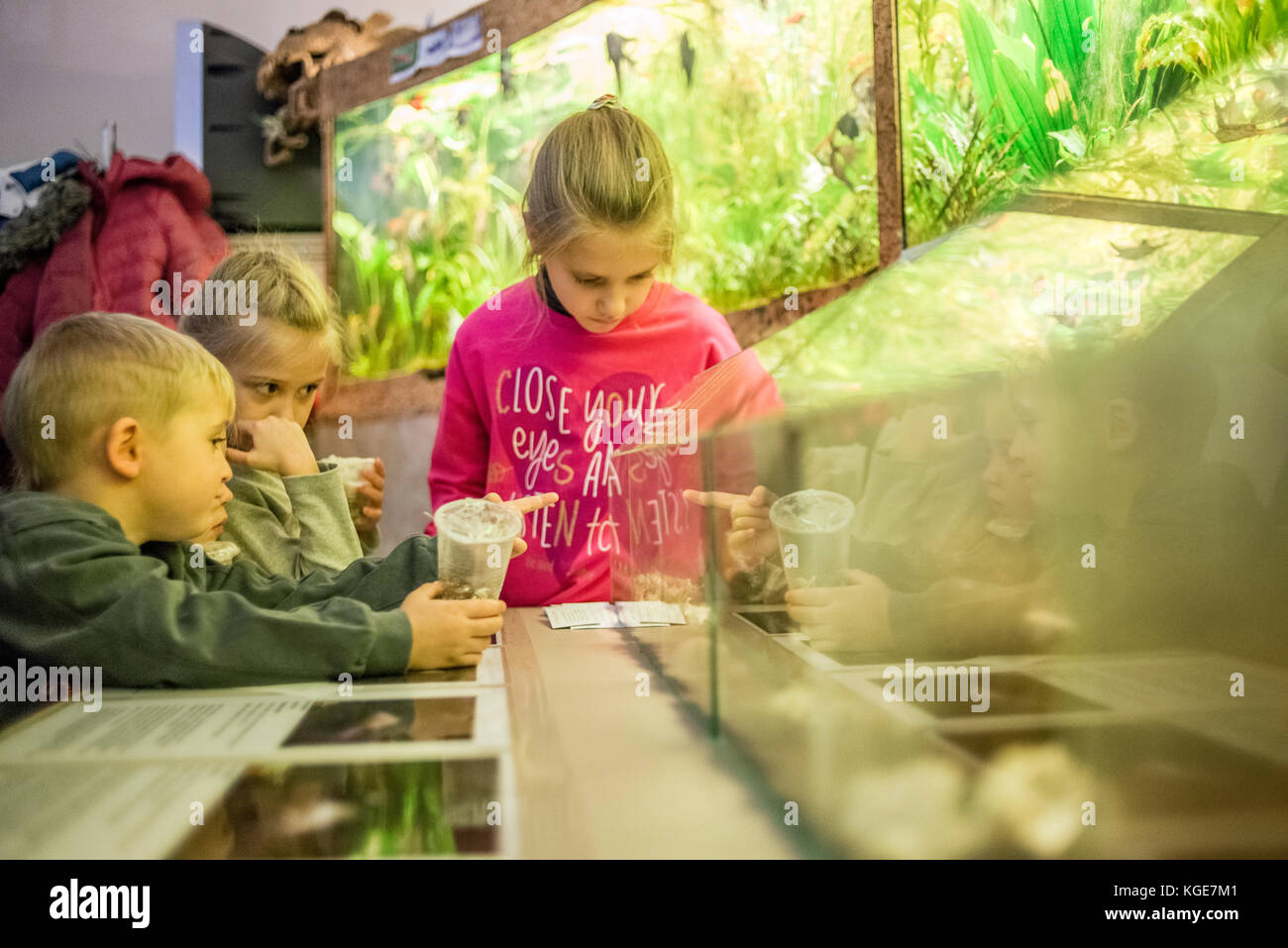 Young visitors during the Exhibition of Giant African Snails on ...