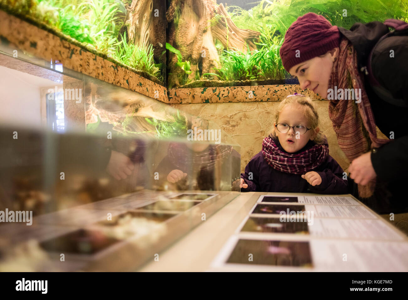 Young visitors during the Exhibition of Giant African Snails on ...