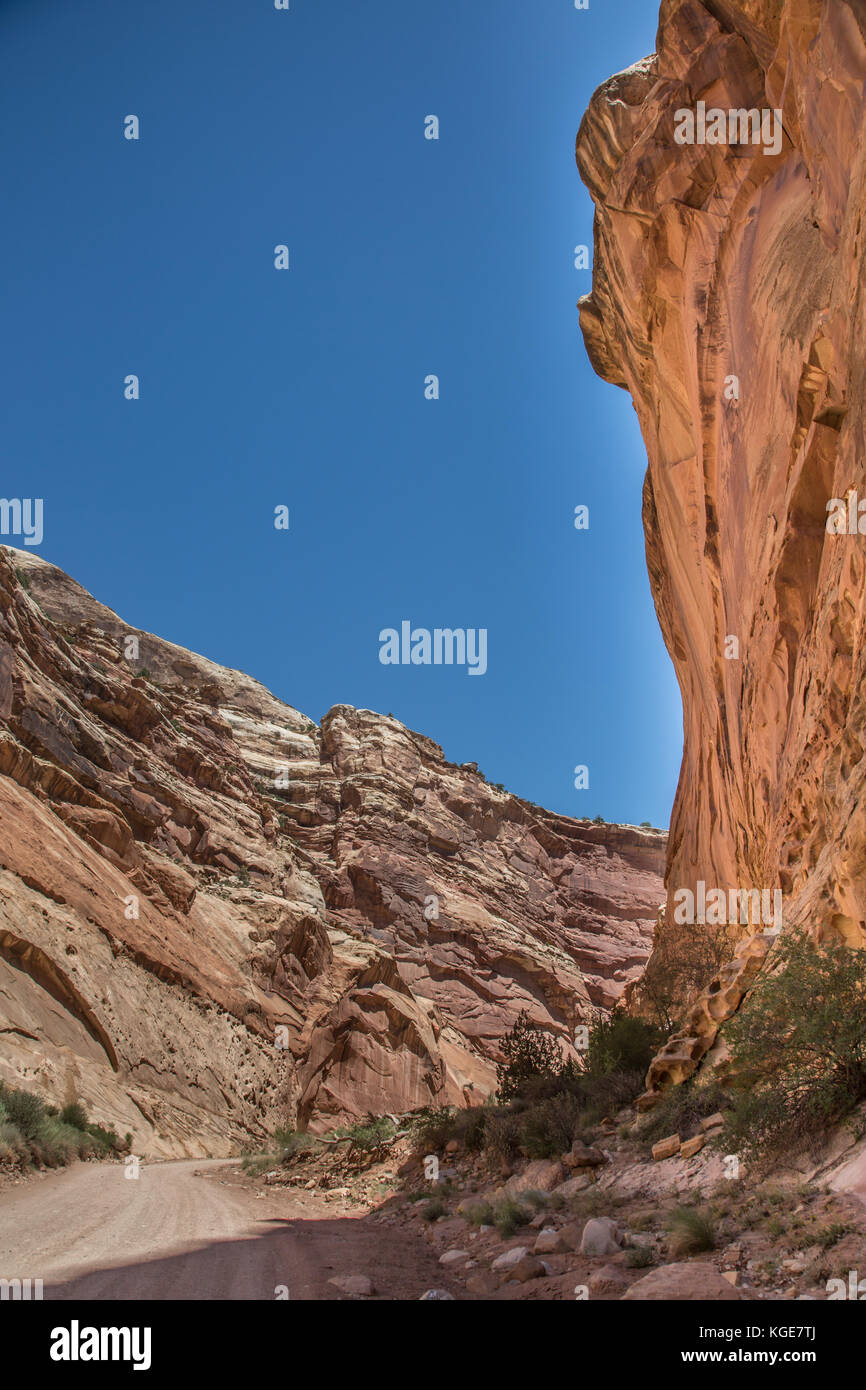 Capitol Reef, Utah National Parks. Canyons, trails,natural bridges ...
