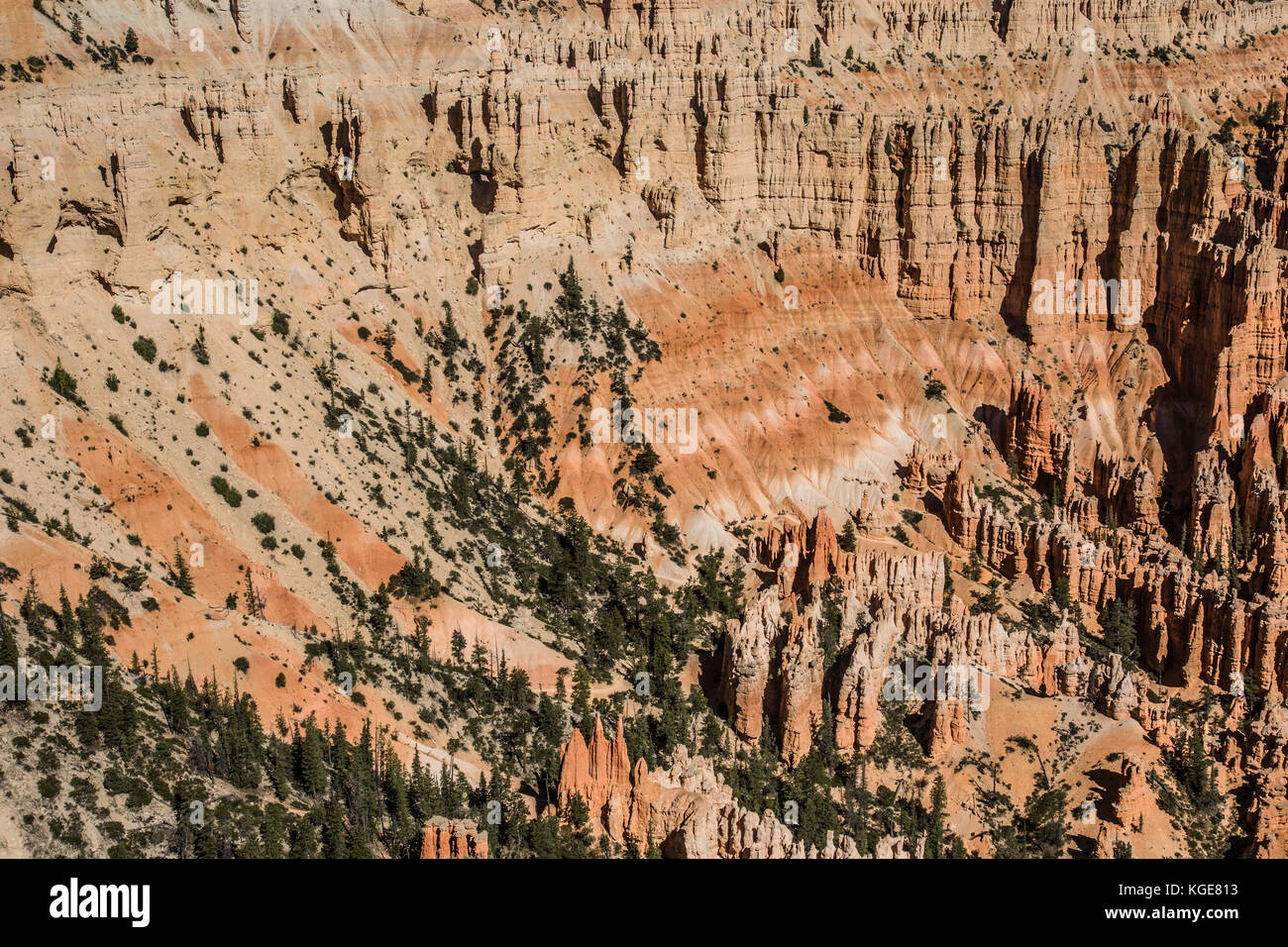 Bryce Point in Bryce Canyon, Utah National Parks. Canyons, trails ...