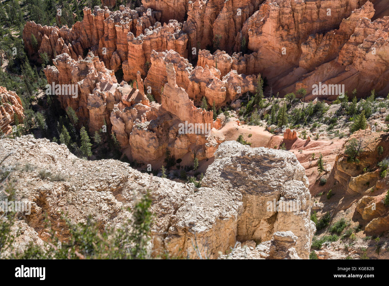 Bryce Point in Bryce Canyon, Utah National Parks. Canyons, trails ...