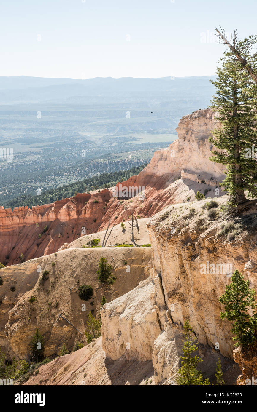 Bryce Point in Bryce Canyon, Utah National Parks. Canyons, trails ...