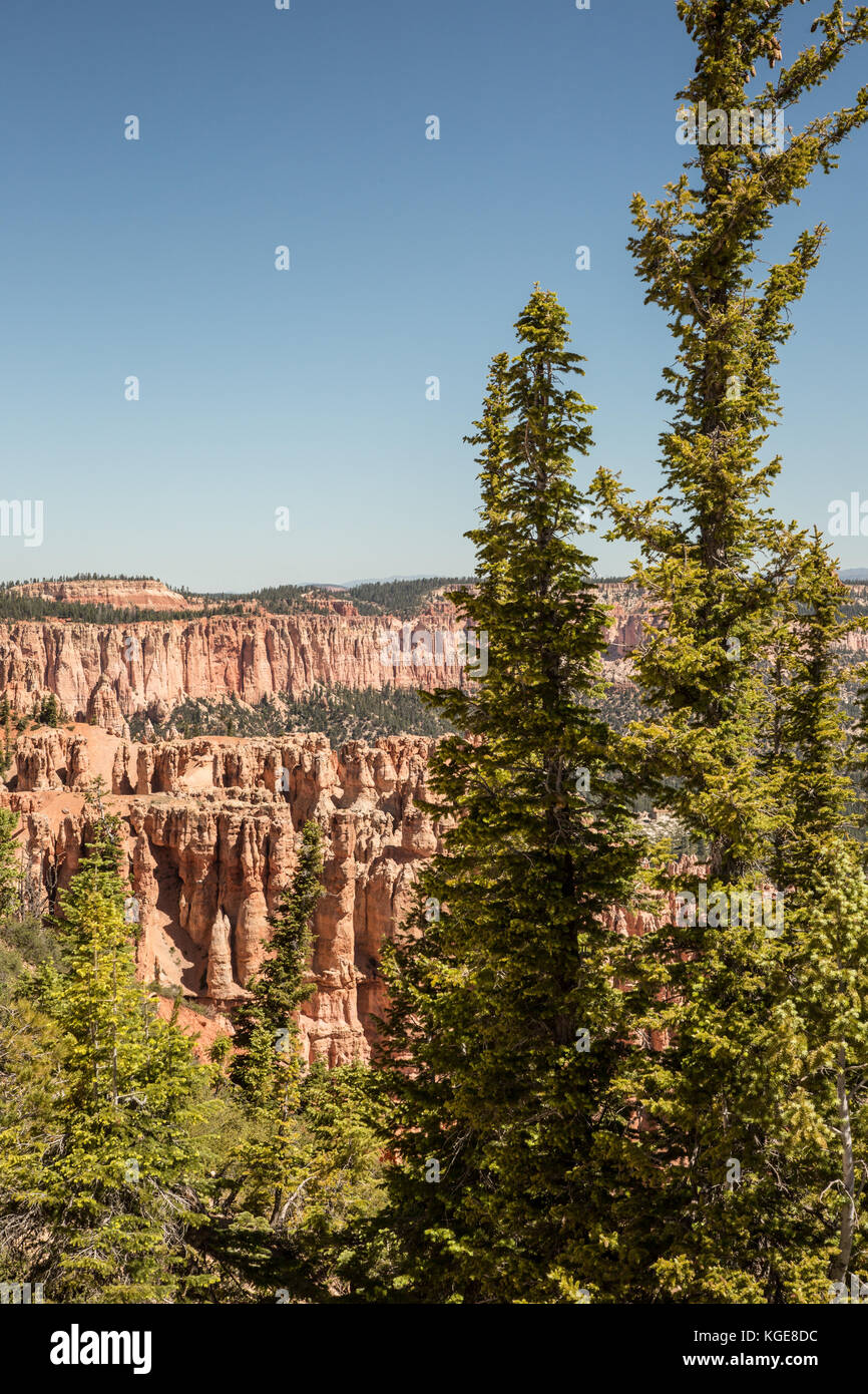 Ponderosa Point in Bryce Canyon, Utah National Parks. Canyons, trails ...
