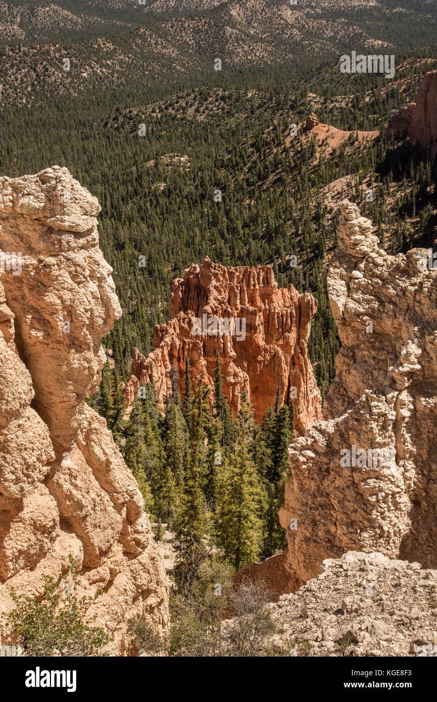 Rainbow Point, Utah National Parks. Canyons, trails,natural bridges ...