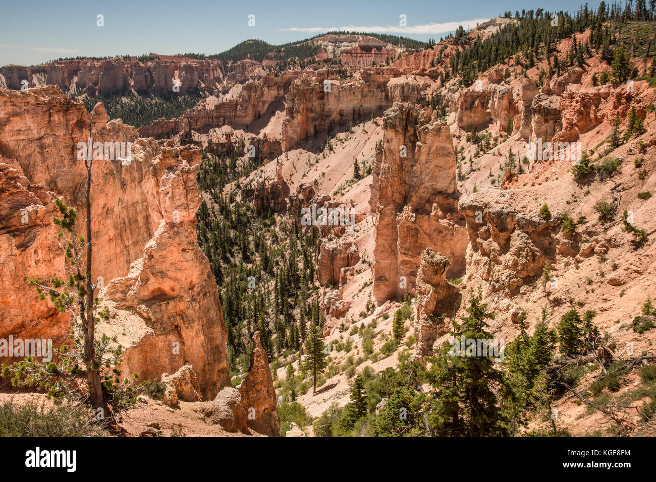 Black Birch Canyon in Bryce Canyon. Utah National Parks. Canyons ...