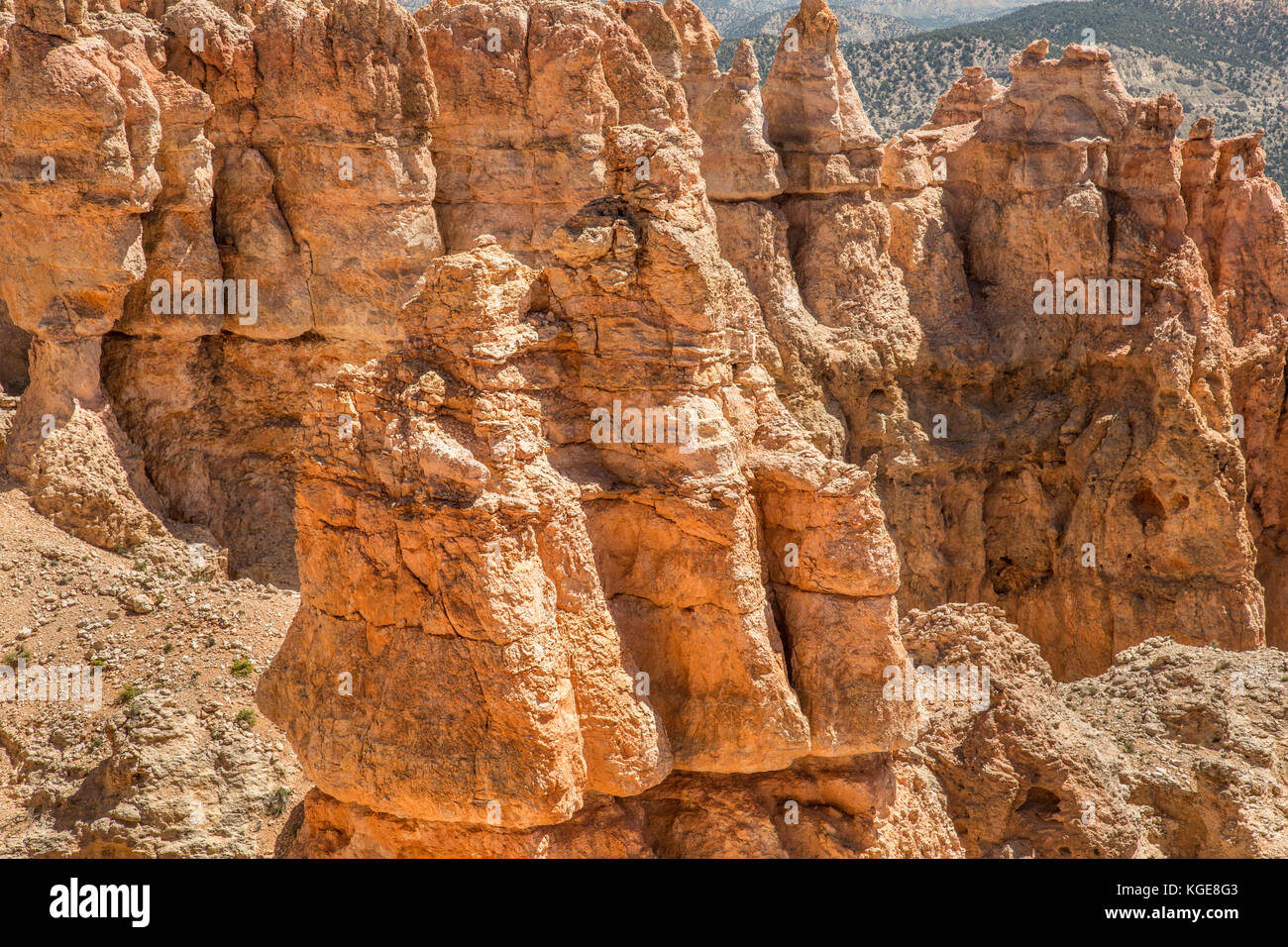 Black Birch Canyon in Bryce Canyon. Utah National Parks. Canyons ...