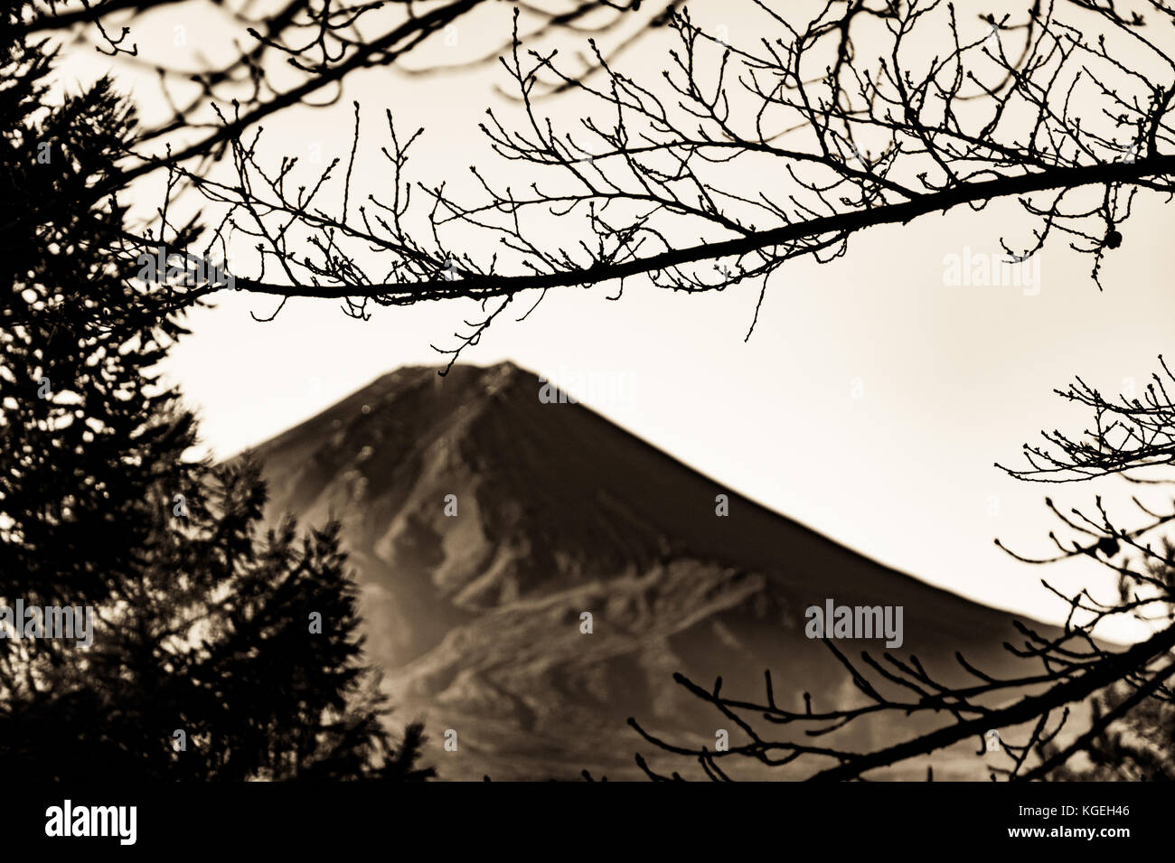 Mount Fuji Black and White Stock Photo - Alamy