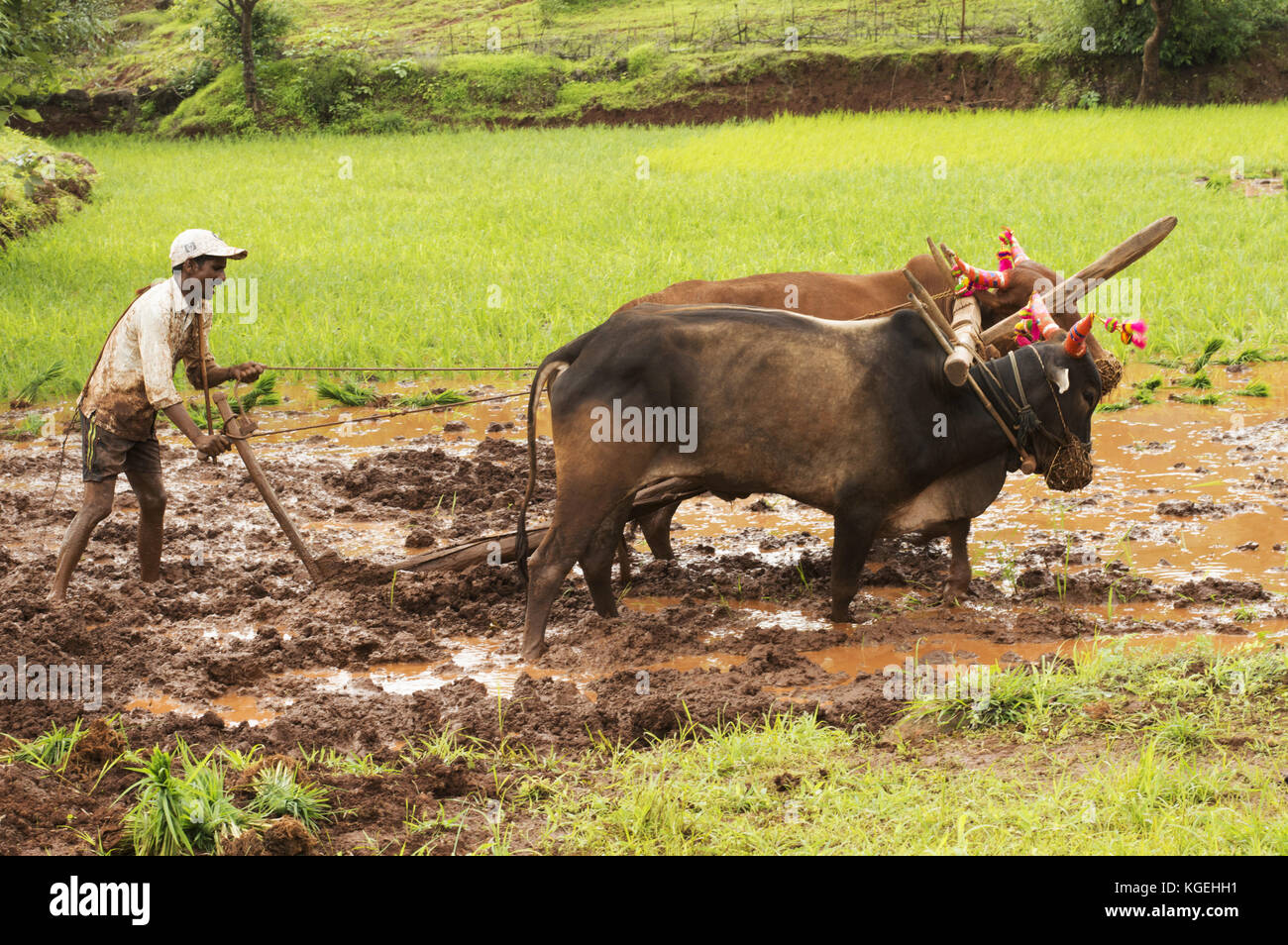 Plowing hand hi-res stock photography and images - Alamy