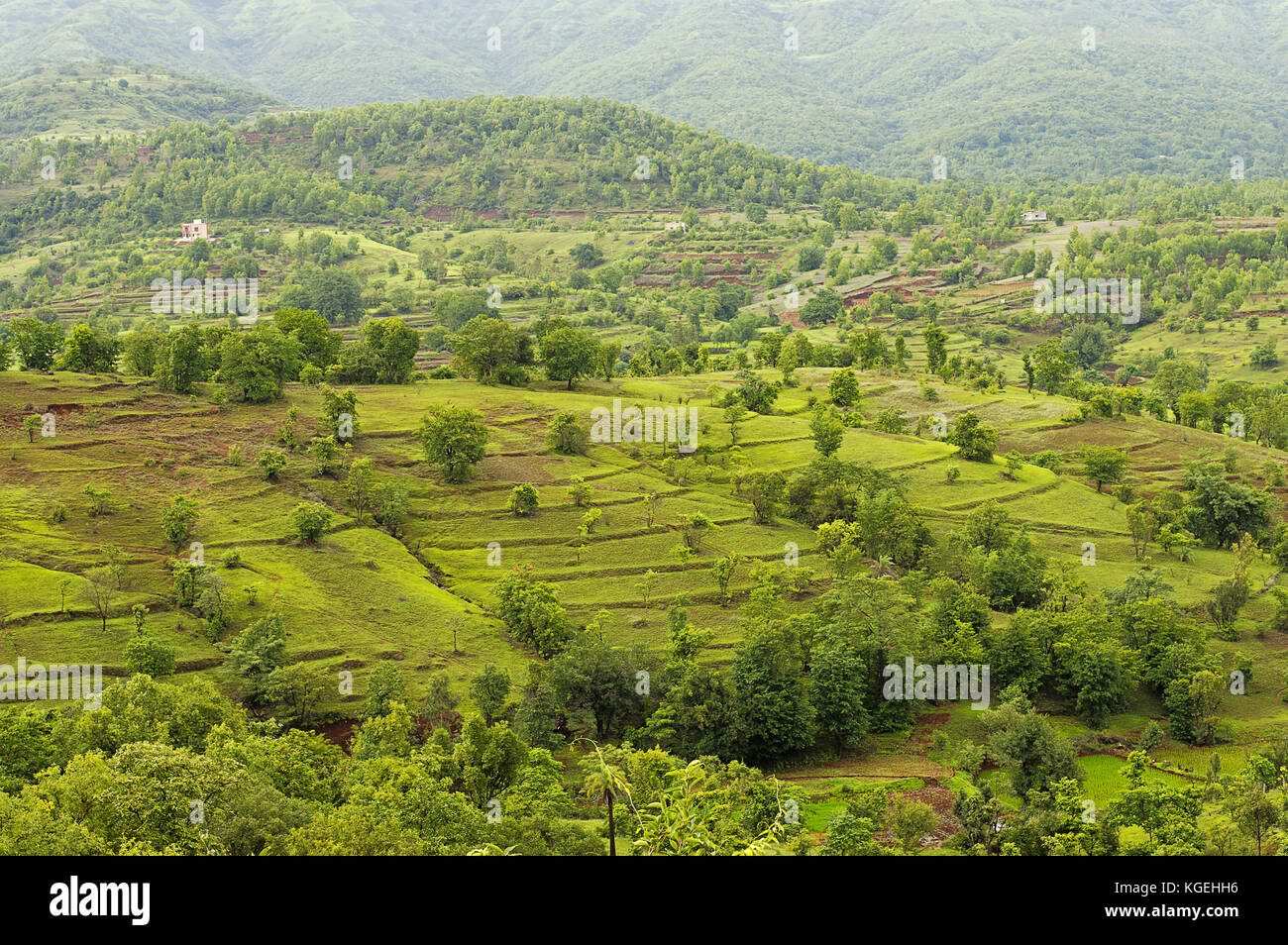 Bhatghar dam hi-res stock photography and images - Alamy