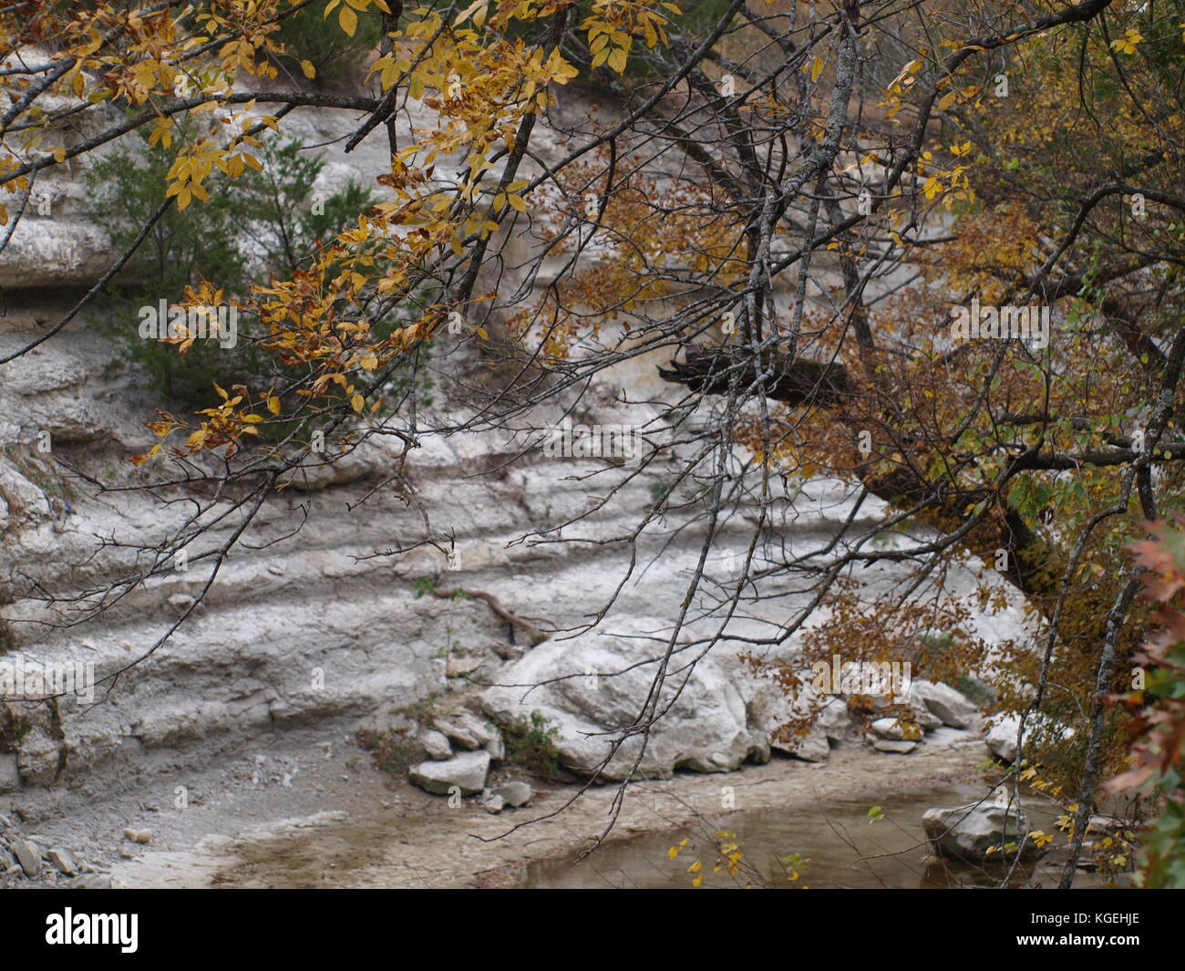 Spider,Spider Web, Alligator lizard, fall foliage, chalk cliffs, and a ...