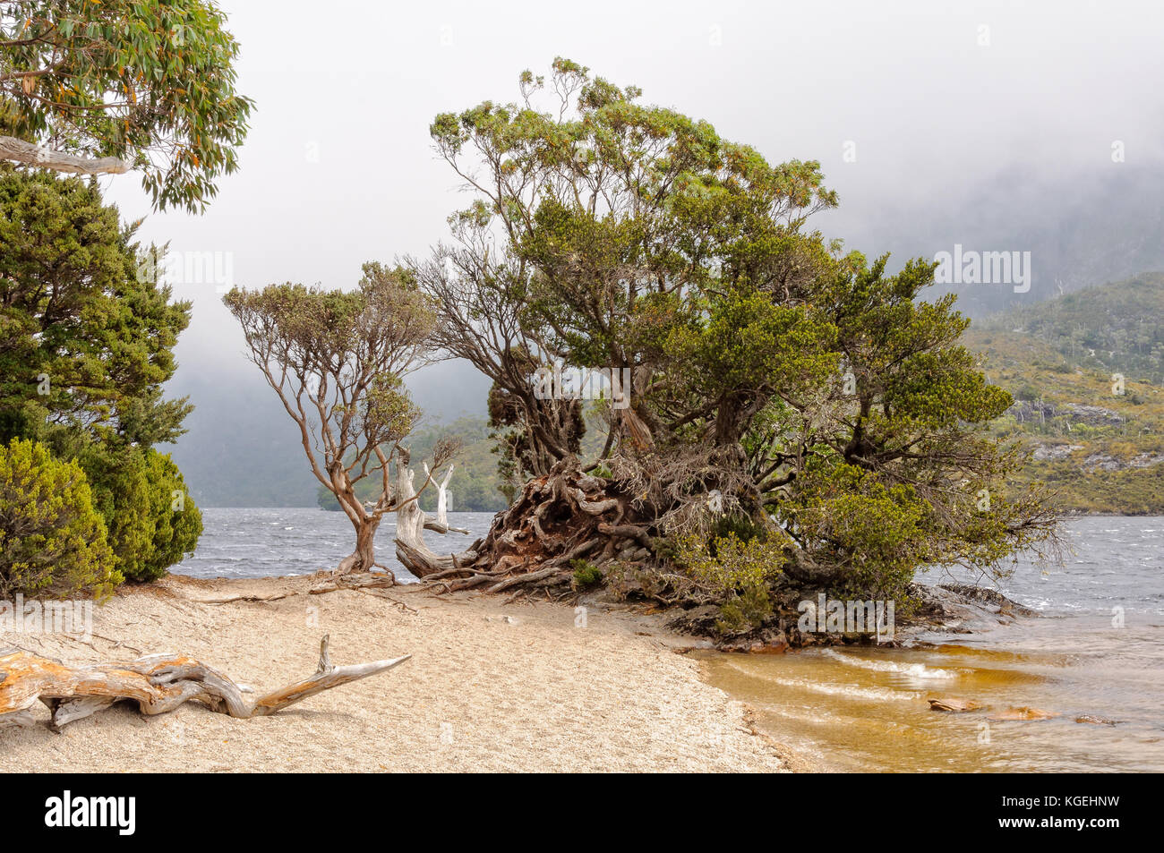 Bushed hi-res stock photography and images - Alamy