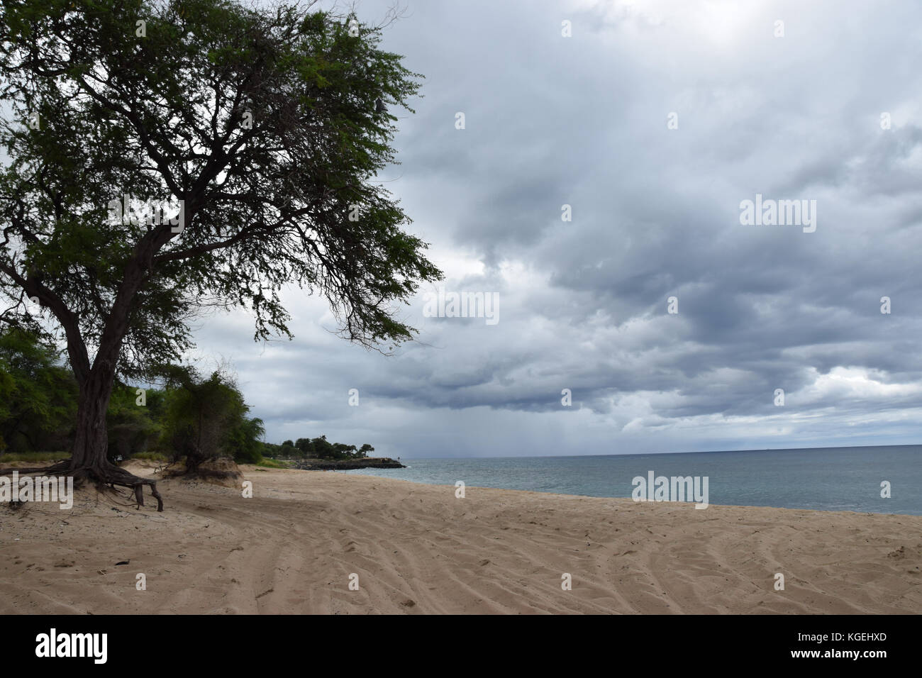 Hawaii beach photo hi-res stock photography and images - Alamy