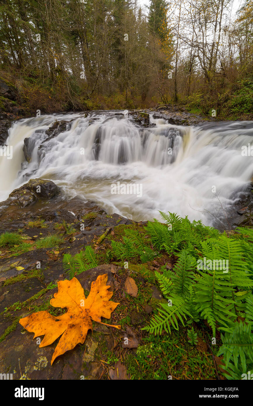 Yacolt Creek Falls at Moulton Falls Regional Park in Clark County ...