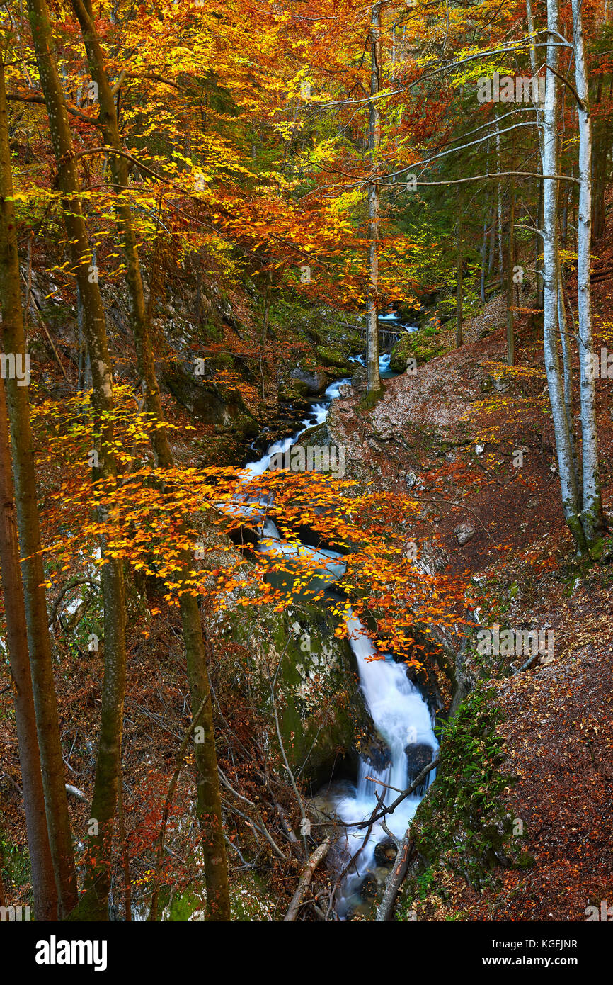 Landscape with a beautiful canyon in the fall Stock Photo - Alamy