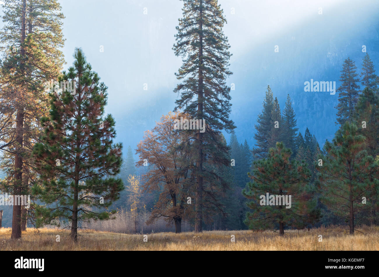 Sunrise over the Yosemite Valley on a foggy autumn day, Yosemite ...