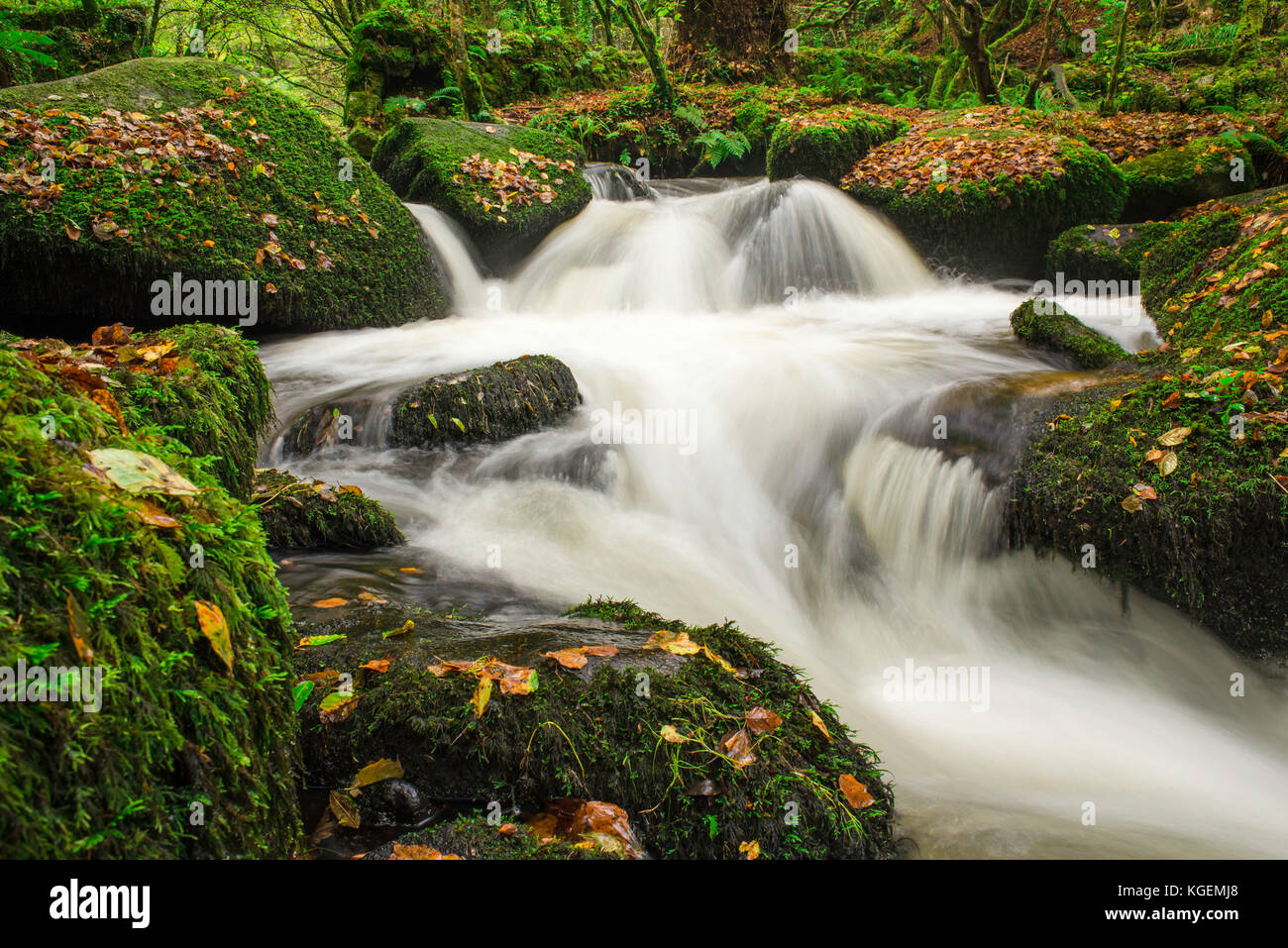 Kennall River; Kennall Vale Cornwall Stock Photo - Alamy