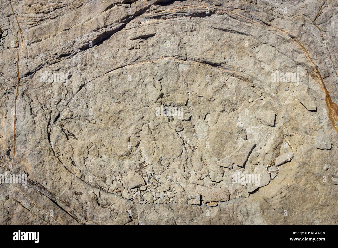 Sedimentary rock. Structure of natural stone. Background Stock Photo ...