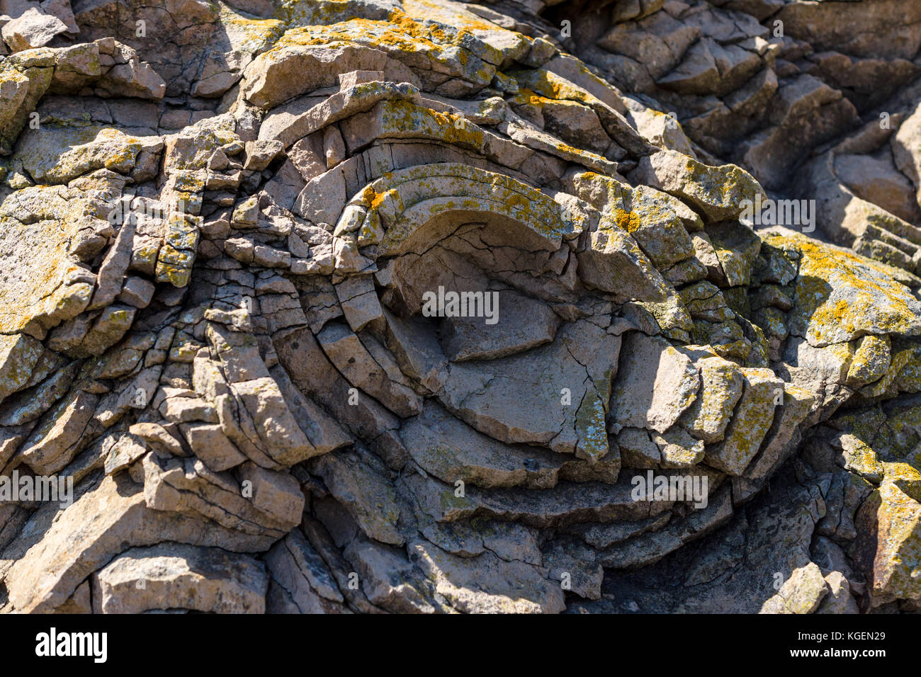 Sedimentary rock. Structure of natural stone. Background Stock Photo ...