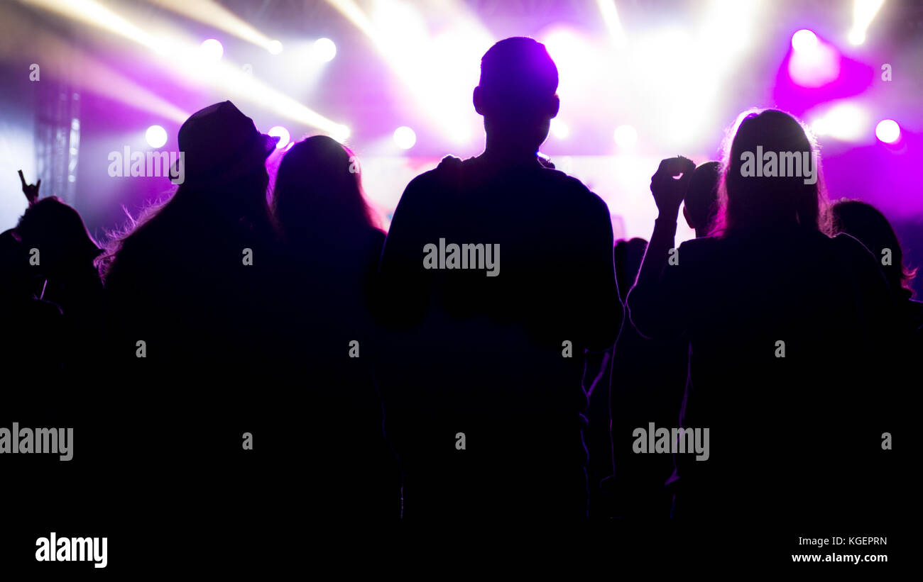 Friends enjoying concert, people dancing at a party, silhouettes Stock ...