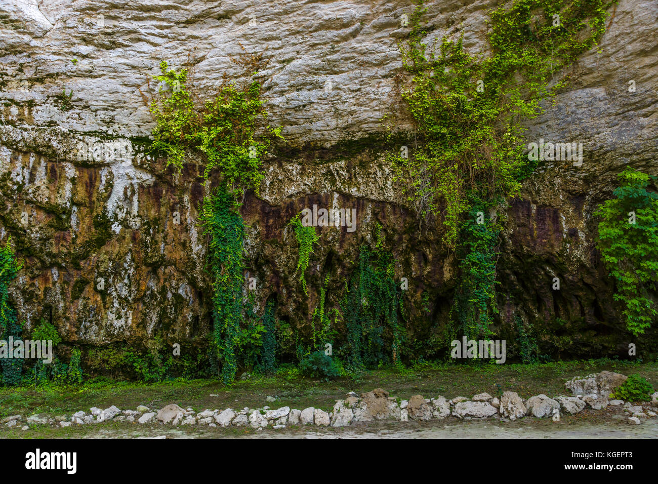 Natural background. Steep rocks and plants to them Stock Photo - Alamy