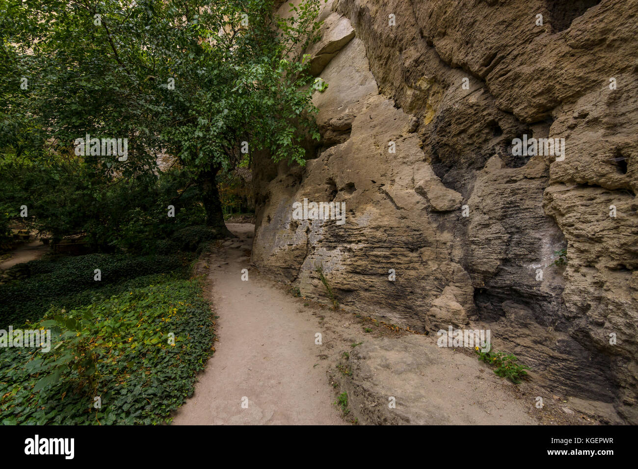 Forest, steep cliffs and a trail along the rocks Stock Photo - Alamy