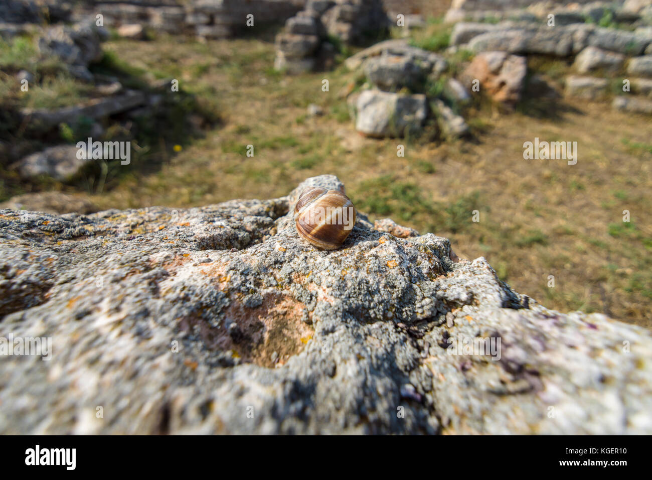 An empty snail shell on the stones. Shallow depth of field Stock Photo ...